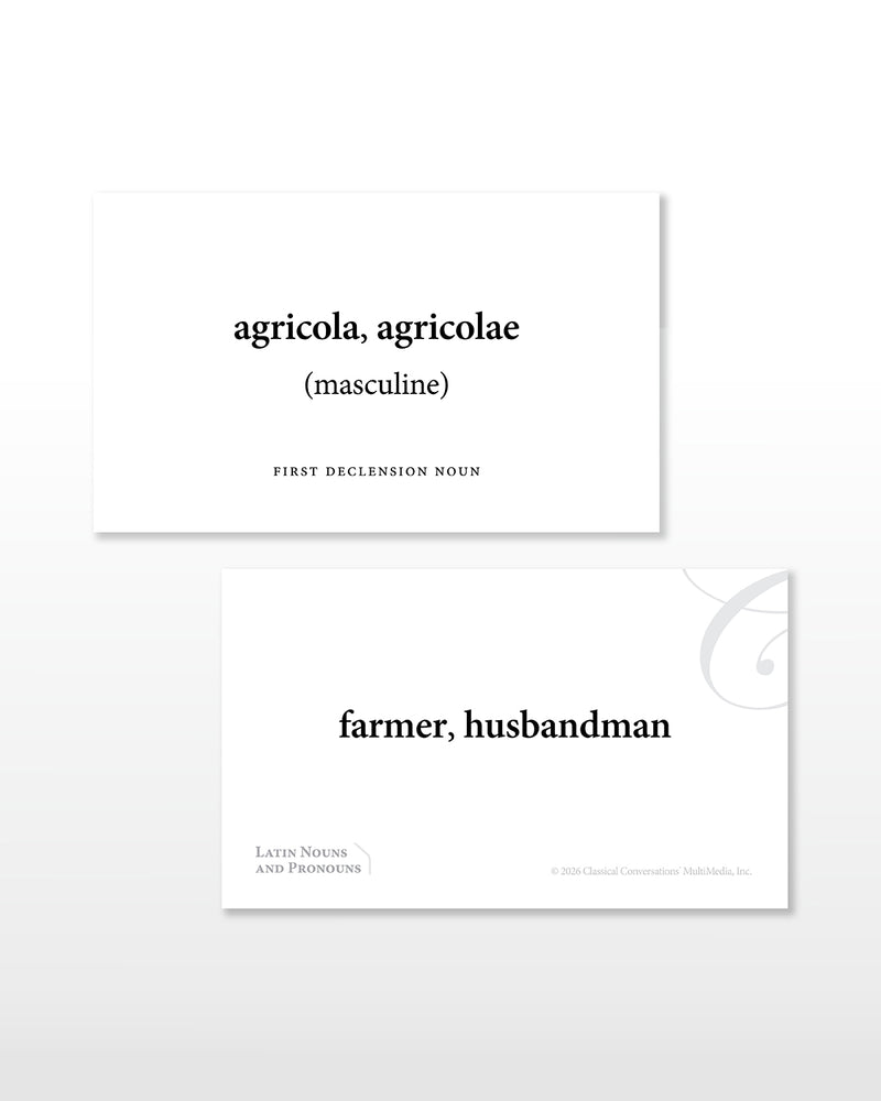 Latin Nouns and Pronouns Flashcards